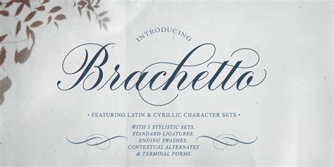 Brachetto Free Download
