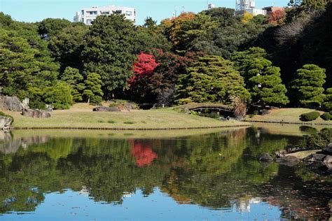 紅葉と歴史の庭園 『六義園 水鏡集』東京都文京区 嵐、ゴルフ、ミステリーの日々2