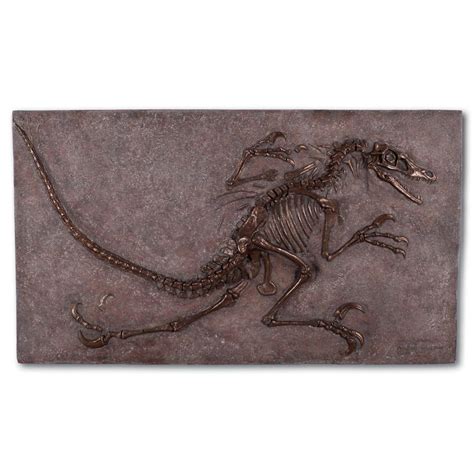 Velociraptor Skeleton