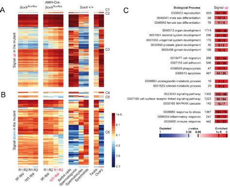 Gene Clustering And Go Term Analysis A A False Color Heatmap Shows