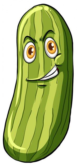 Pickle Slice Vector