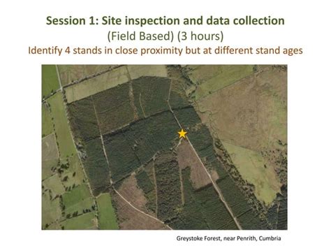 Teaching Forest Stand Dynamics Pdf