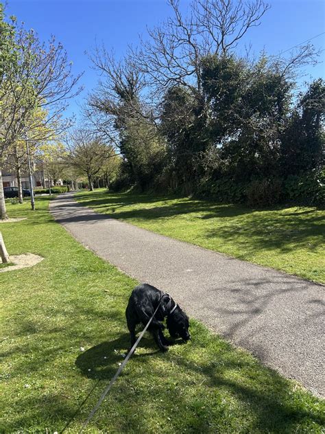 What A Day 💚 Marlon Jimenez Compton He Him His