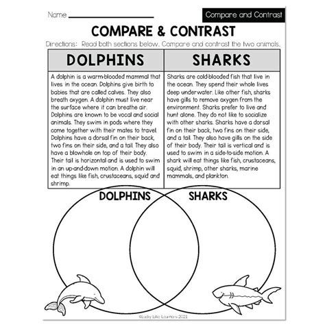 Compare And Contrast Worksheet Comparing Two Types Of Sharks