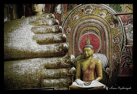 Suren Rupasinghe Flickr