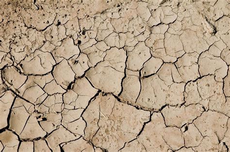 Cracked Desert Floor