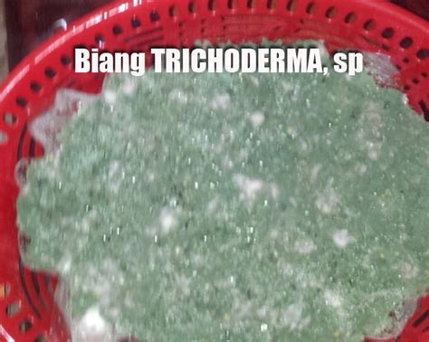 Trichoderma Bagi Tanaman Praktikum Aplikasi Komputer