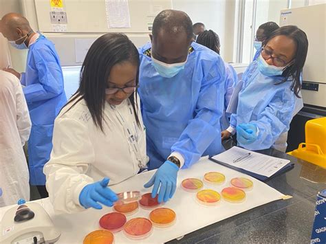 Going Into Battle Future Of Amr Pathogen Genomics And Bioinformatics