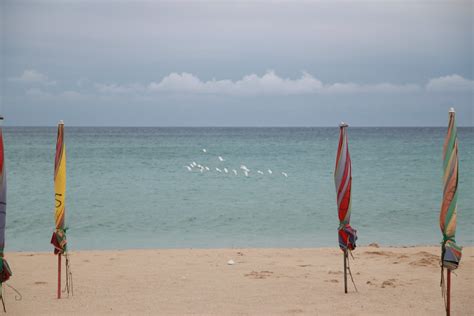 Img8780 Cuddi Flickr