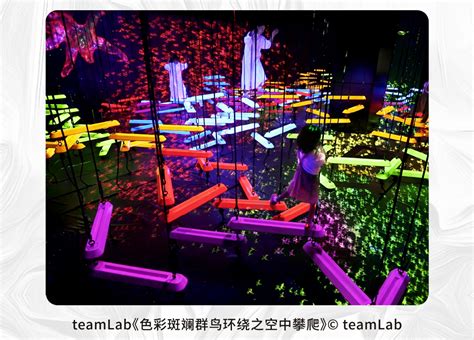 北京teamlab无相艺术空间门票2022北京teamlab无相艺术空间【订票】 大河票务网官方网站
