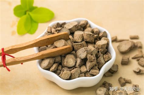 天全川牛膝 知乎