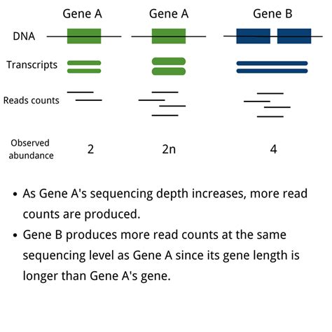 How To Choose Normalization Methods Tpmrpkmfpkm For Mrna Expression