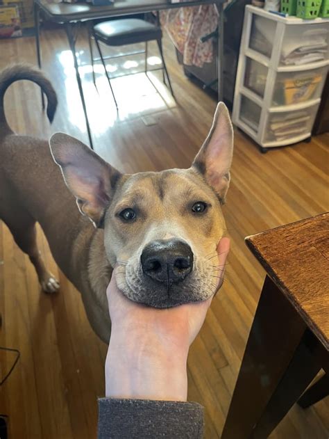 Squish Original Rawwnime