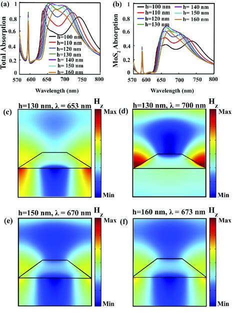 A Total And B Mos 2 Absorption When W P 600 Nm And G 200 Nm