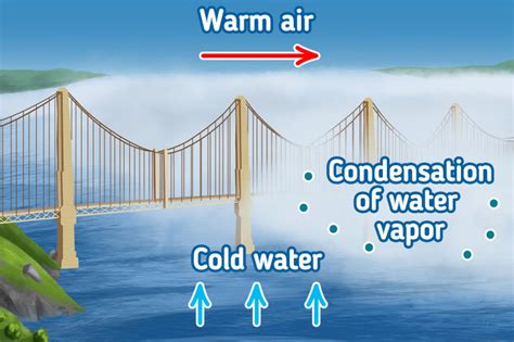 How Fog Forms 5 Minute Crafts