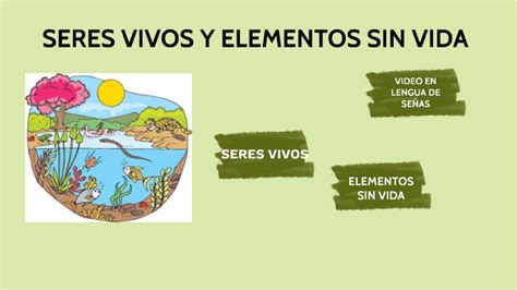 Los Seres Vivos Y Elementos Sin Vida By Vanina Basaldua On Prezi