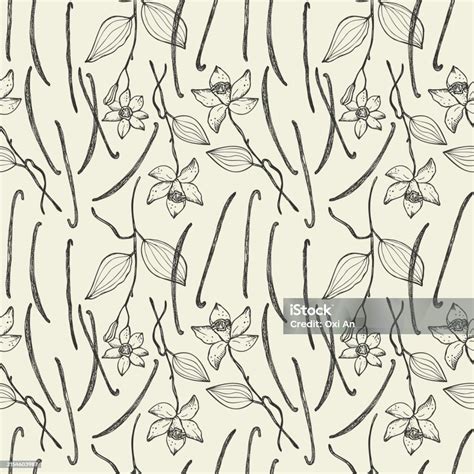 바닐라 식물 막대기 꽃 반복 배경 바닐라 가지 잎과 함께 손으로 그린 완벽 한 패턴입니다 템플릿 라벨 카드 섬유 포장 배너 디자인 벡터 새겨진 그림 바닐라 난과 식물에 대한