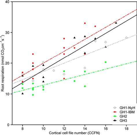Figure 3 From Reduced Root Cortical Cell File Number Improves Drought