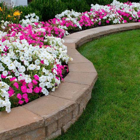 Beginners Flower Garden Ideas