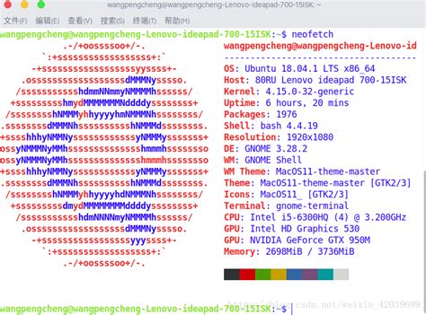 浅谈ubuntu 18 04 1 lts x86 64安装，美化配置及常用软件安装配置的历程 ubuntu 安全软件 paraiso x86