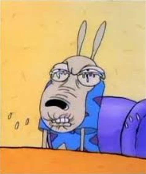 Rocko Sour Face Meme Generator