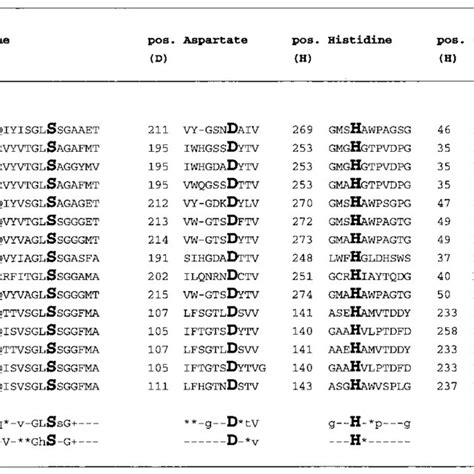 Alignment Of Catalytic Amino Acids Of Pha Scl Depolymerases An Download Scientific Diagram