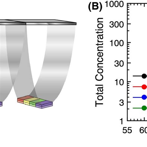 A Trough Compound Parabolic Concentrators Cpcs Concentrate Light In