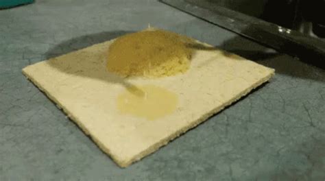 Sponge Absorbing  Sponge Absorb Absorbent Discover And Share S