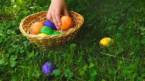 Where To See The Easter Bunny Hunt For Eggs In Lexington Ky