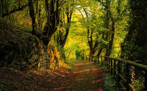🔥 40 Nature Scene 4k Wallpapers Wallpapersafari