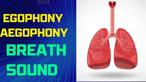 Egophony Aegophony Breath Sound Egophony Lung Sound Youtube