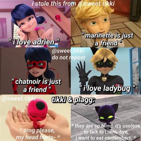Miraculous Ladybug Memes Artofit