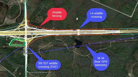 Fdot Constructing Wildlife Underpass Along I 4 To Protect Animals In