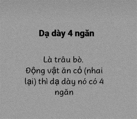 Khám Phá 900 ý Tưởng Đơn Giản Nó Là Meme Và Meme Hài Hước Chuyện