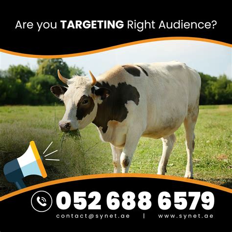 Synet Digital On Linkedin Synet Websitedesign Digitalmarketing Seo