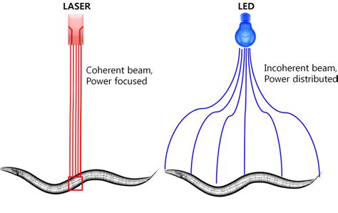 Difference Between Laser And Led Instyle Egg® Laser Cap Hair Growth