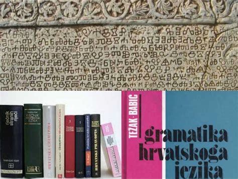 Ana Bacic Med Oct On Linkedin Language Multilingualism