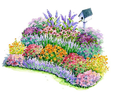 Hummingbird Garden Design