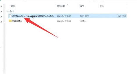 详细分步骤讲解地铁最后的曙光steam中文汉化方法 哔哩哔哩