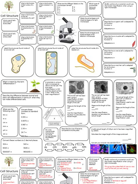 4 1 1 Cell Structure Pdf Cell Biology Cytoplasm