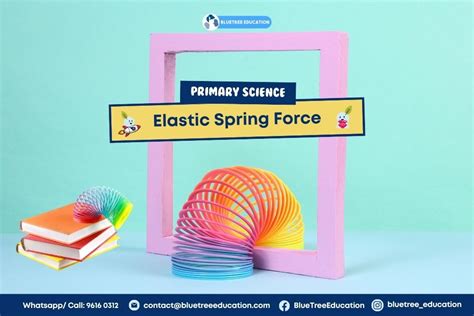 elastic force images