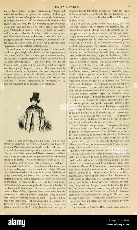 A Book Detailing Plant Families Describing Their Characteristics