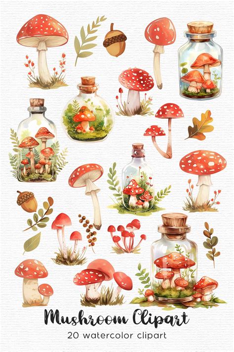Mushroom Clipart Set With 20 Png Files 🍄