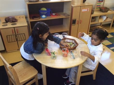 The Magic Of Sorting And Classifying In Preschool Seedlings Educators