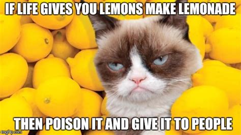 Grumpy Cat Lemonade Memes