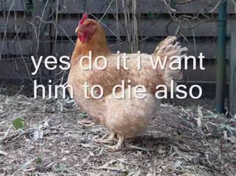 Codys Chicken Moviewmv Youtube
