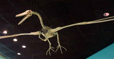 Massive Extinct Animals Ranked By How Horrifying They Are