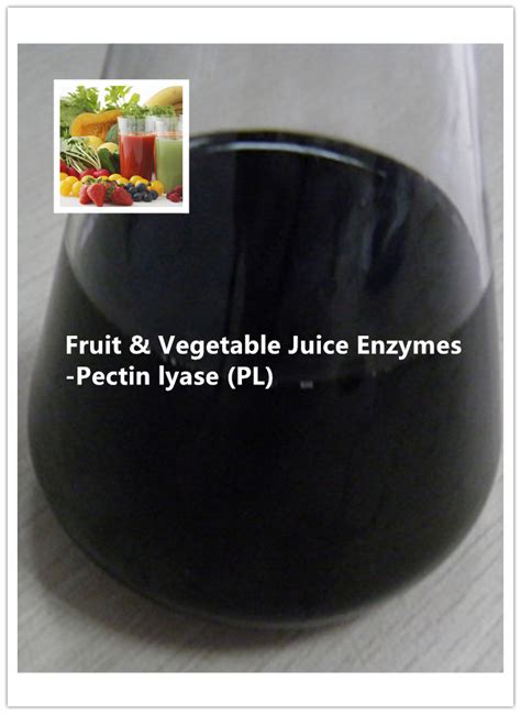 High Quality Pectate Lyase Pl As Fruit Juice Enzyme And Vegetable Juice Enzyme