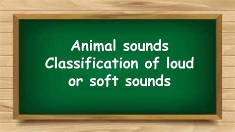 Animal Sounds Classification Of Loud Or Soft Sounds Pptx