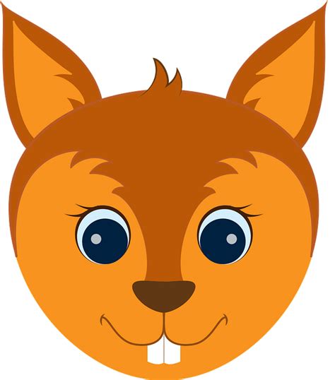 Squirrel Face Free Vector Clipart Images On